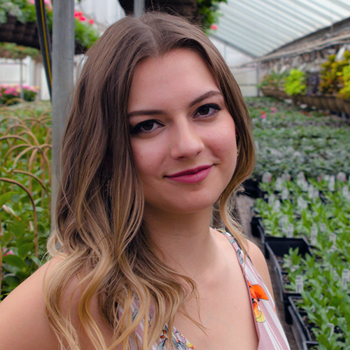 Dayspring Behavioral Health team - meet the counselors